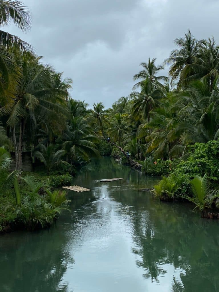 IMG_3741 2 - Minimiz